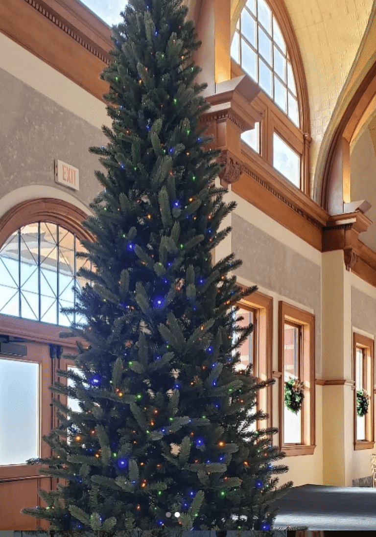 Christmas Tree Rentals In Dallas Tx. - Christmas Tree Rentals